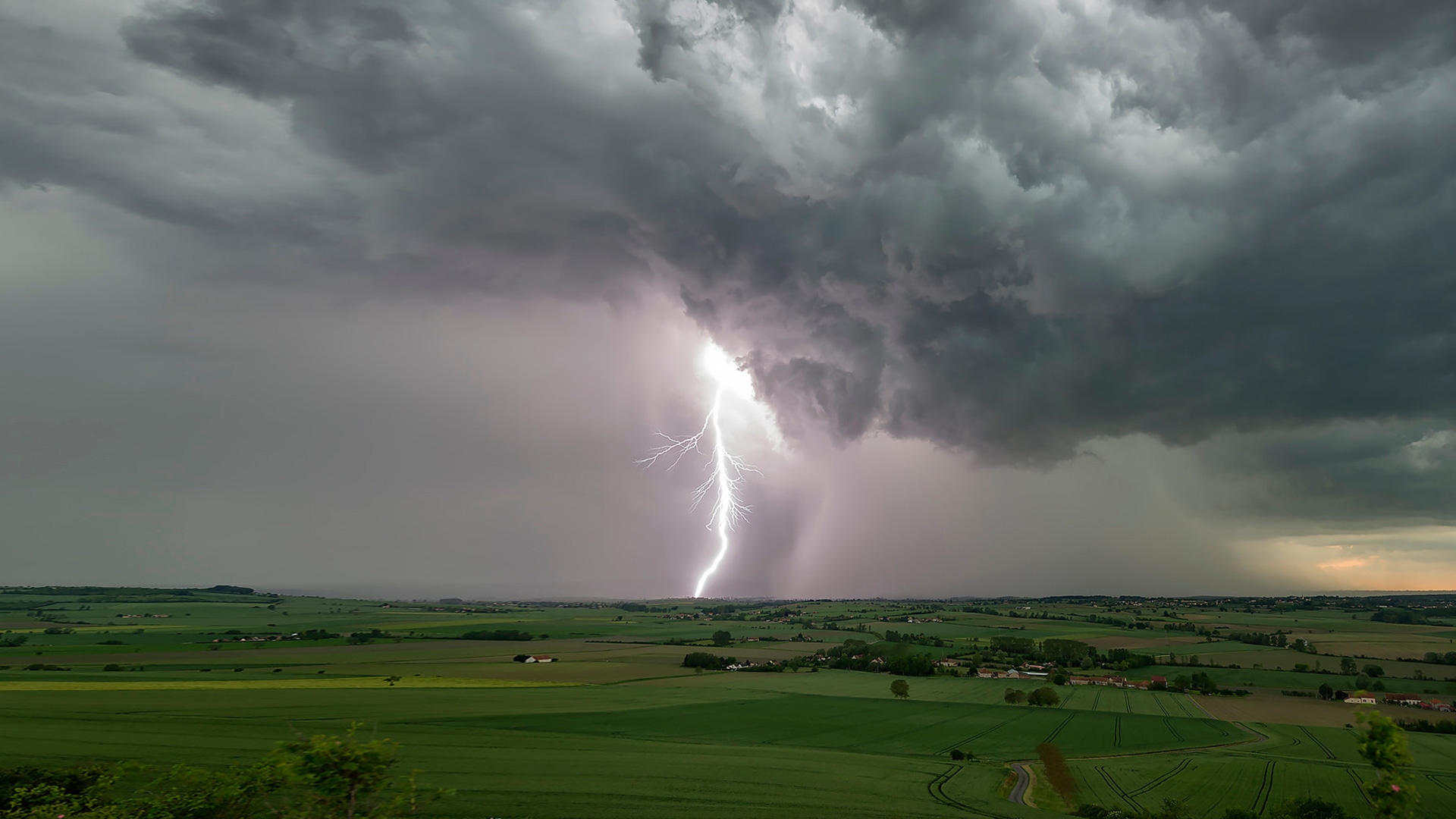 Landing Laico EN - Selerys